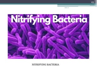 Nutrition types of bacteria | PPTX