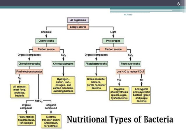 Nutrition types of bacteria | PPTX