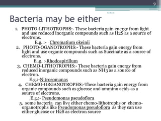 Nutrition types of bacteria | PPTX