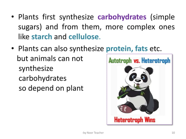 Nutrition - Grade 10, SSC TS | PPTX