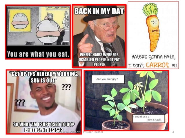 Nutrition - Grade 10, SSC TS | PPTX