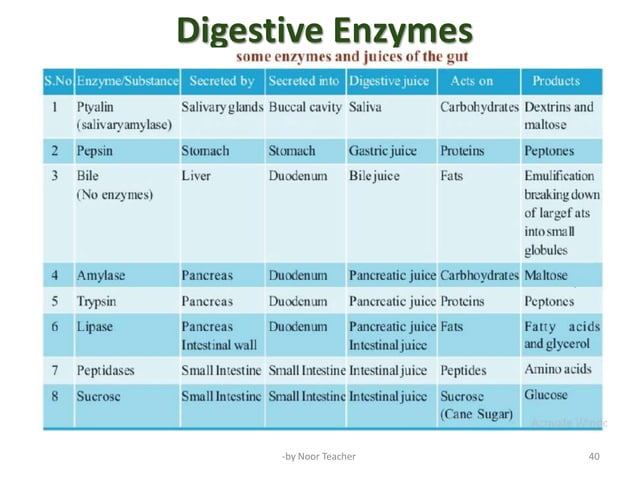Nutrition - Grade 10, SSC TS | PPTX