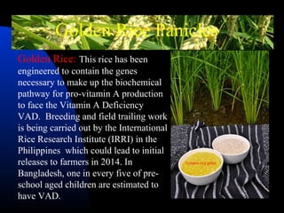 Food Policy to add Nutrition to rice for public health in Bangladesh | PPT