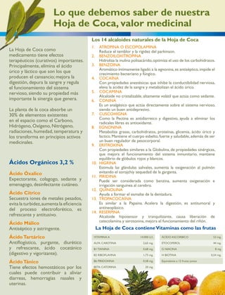 Nutritivo hoja de coca | PDF