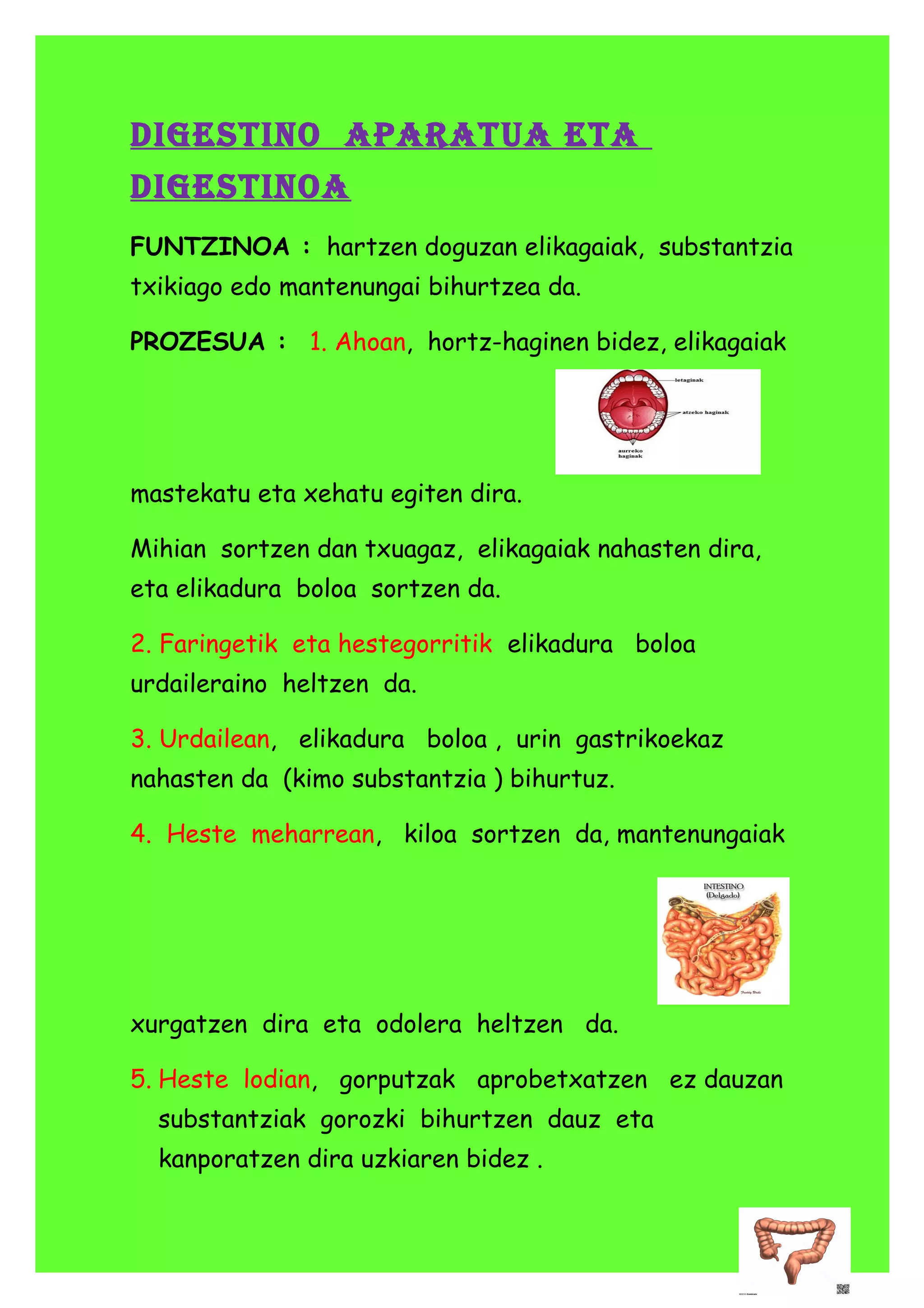 Nutrizino funtzinoa ibon laka 6.b | DOC