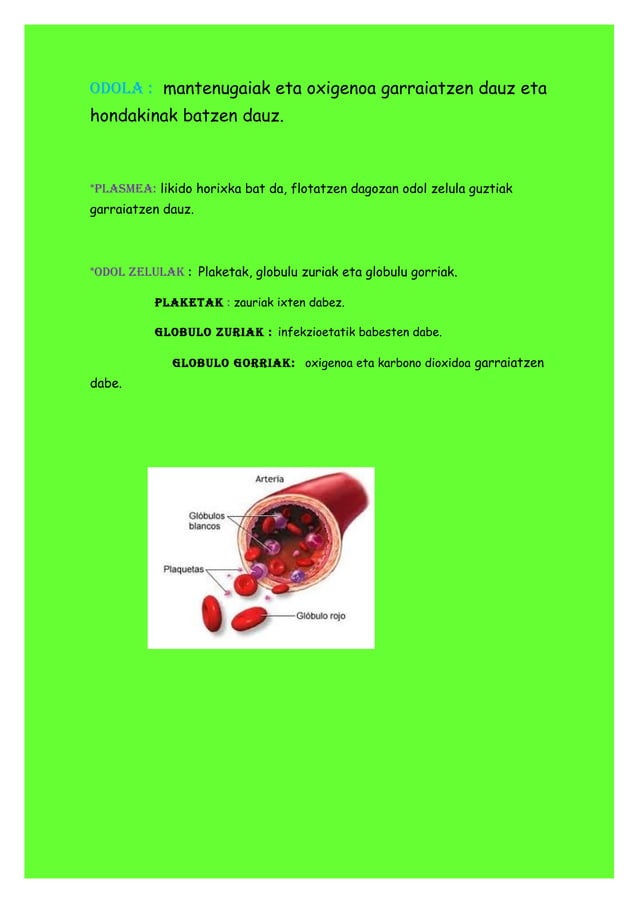 Nutrizino funtzinoa ibon laka 6.b | PDF