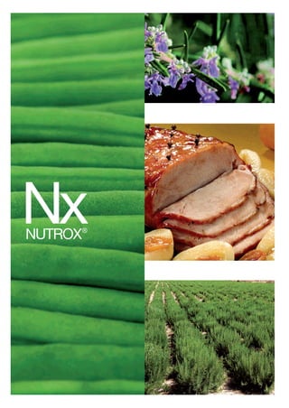 Nutrox Food Antioxidants | PDF