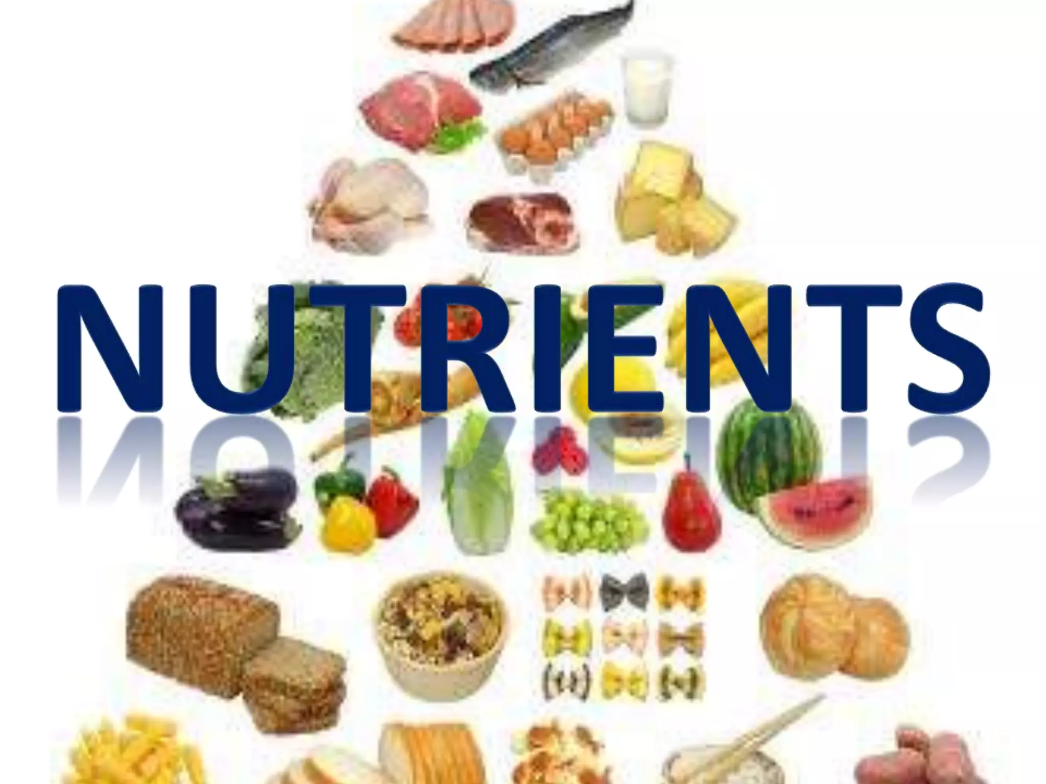 nutrients | PPT