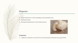 Nutritional diseases of Poultry | PPTX