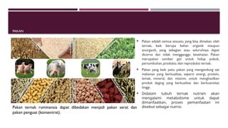 Nutrisi Ruminansia - Nutrisi Ruminansia ( | PPT