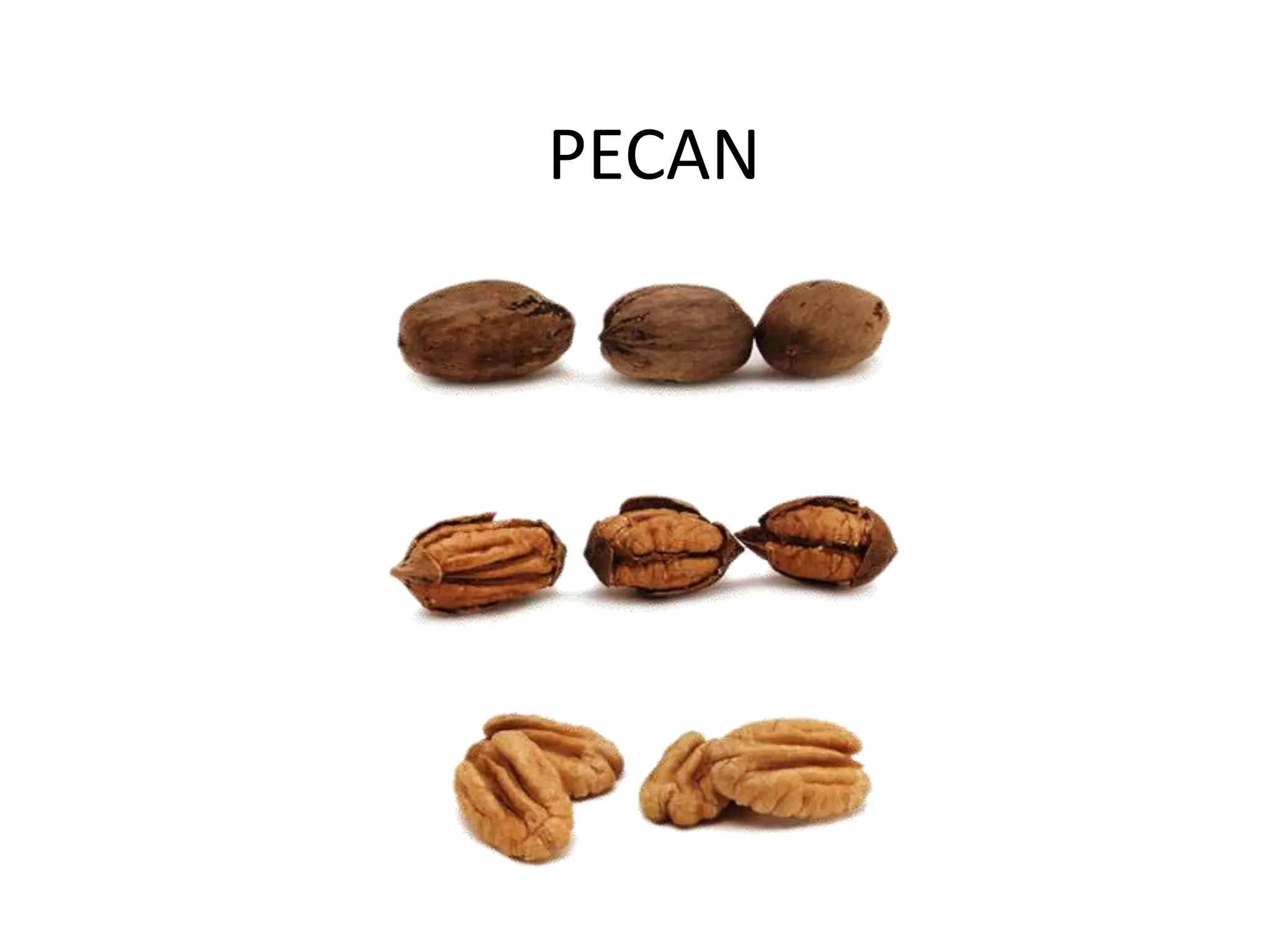 Nuts | PPTX