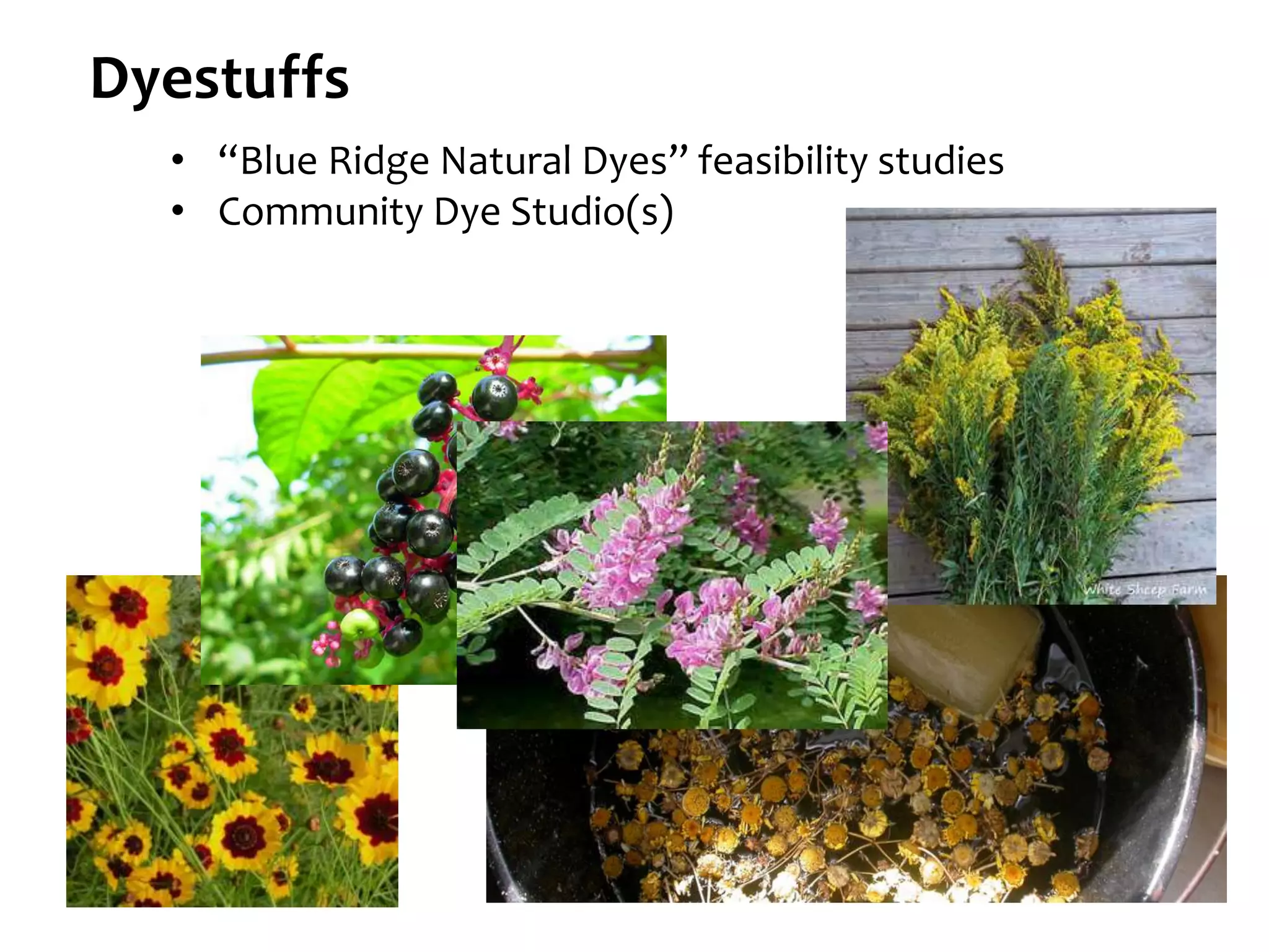 Farm to Fashion - Louise Nuttle | PPT