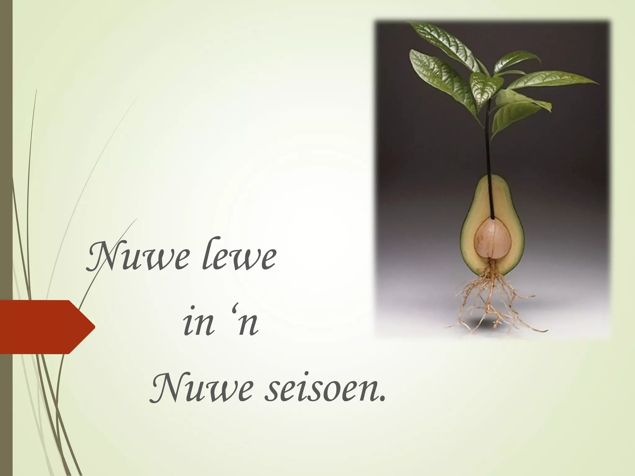 Tema : Nuwe Lewe in Nuwe Seisoen | PPT