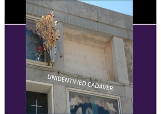 Missing Persons and Nameless Cadavers: the Italian Governmental solution and the role of ...