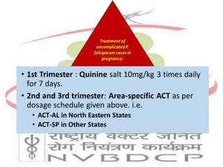 National vector borne disease control programme | PPTX