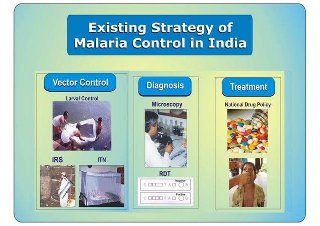 National Vector Borne Disease Control Programme | PDF | Infectious ...