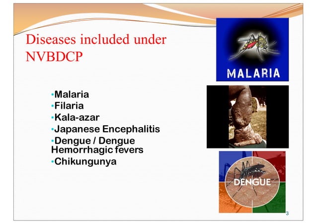 National Vector Borne Disease Control Programme | PDF | Infectious ...