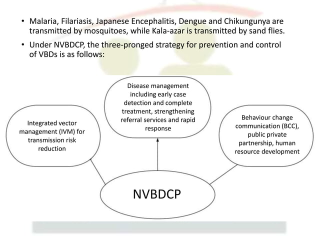 National Vector Borne Disease Control Programme | PPTX | Infectious Diseases | Diseases and ...