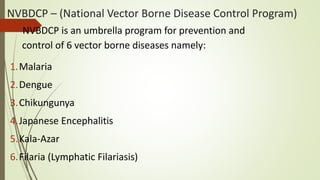 NVBDCP.pptx