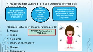 NVBDCP.pptx Nation vector borne disease control program | PPTX