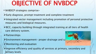 NVBDCP.pptx Nation vector borne disease control program | PPTX
