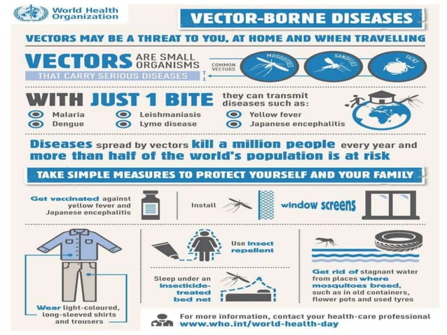 National Vector Borne Disease Control Programme | PPTX