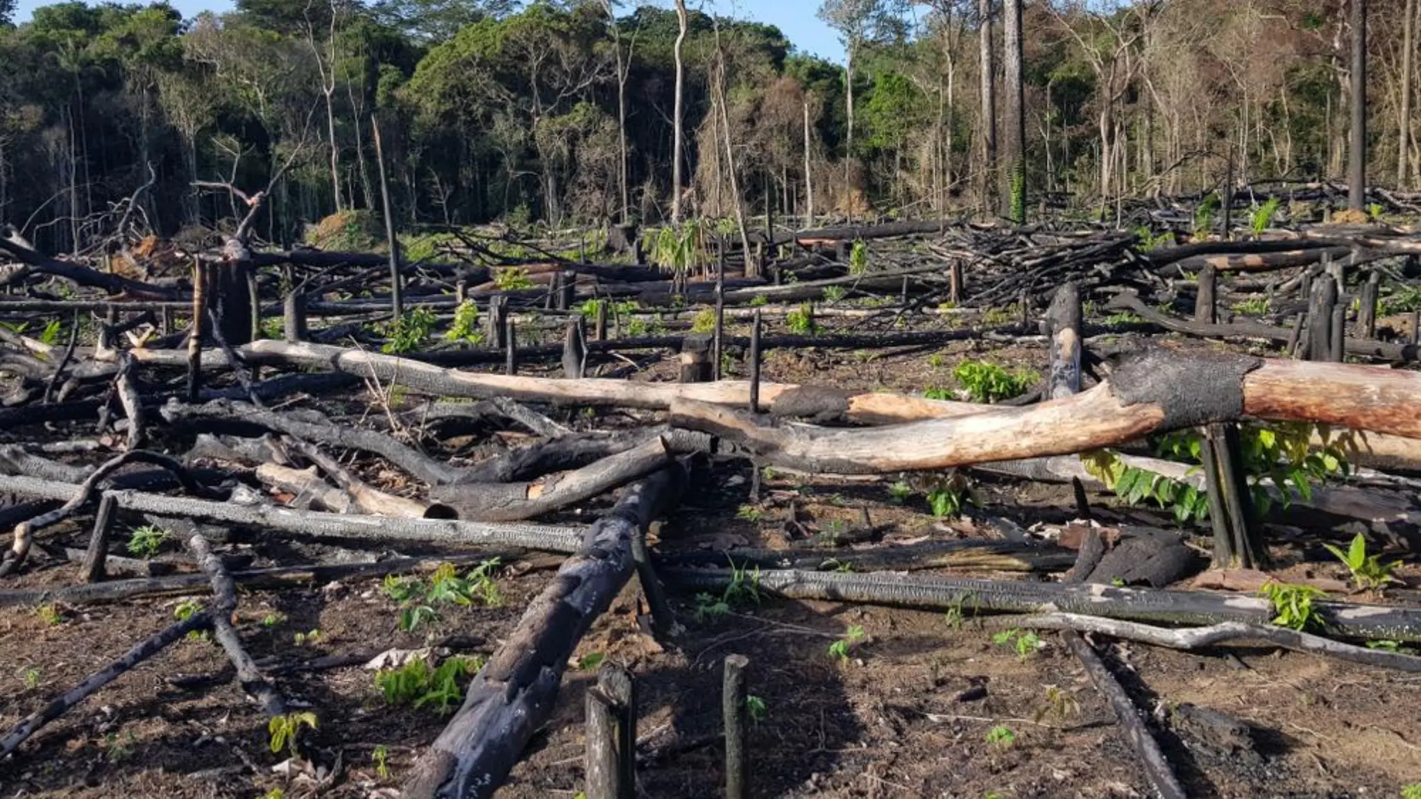 Bits & Pixels using AI for Good......... | PPT