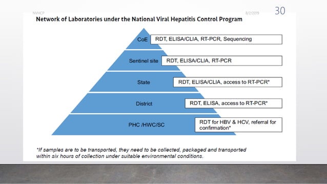 NATIONAL VIRAL HEPATITIS CONTROL PROGRAM | PPTX | Infectious Diseases ...