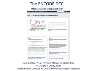 Implementation of GPU-based bioinformatic tools at the ENCODE DCC | PPTX