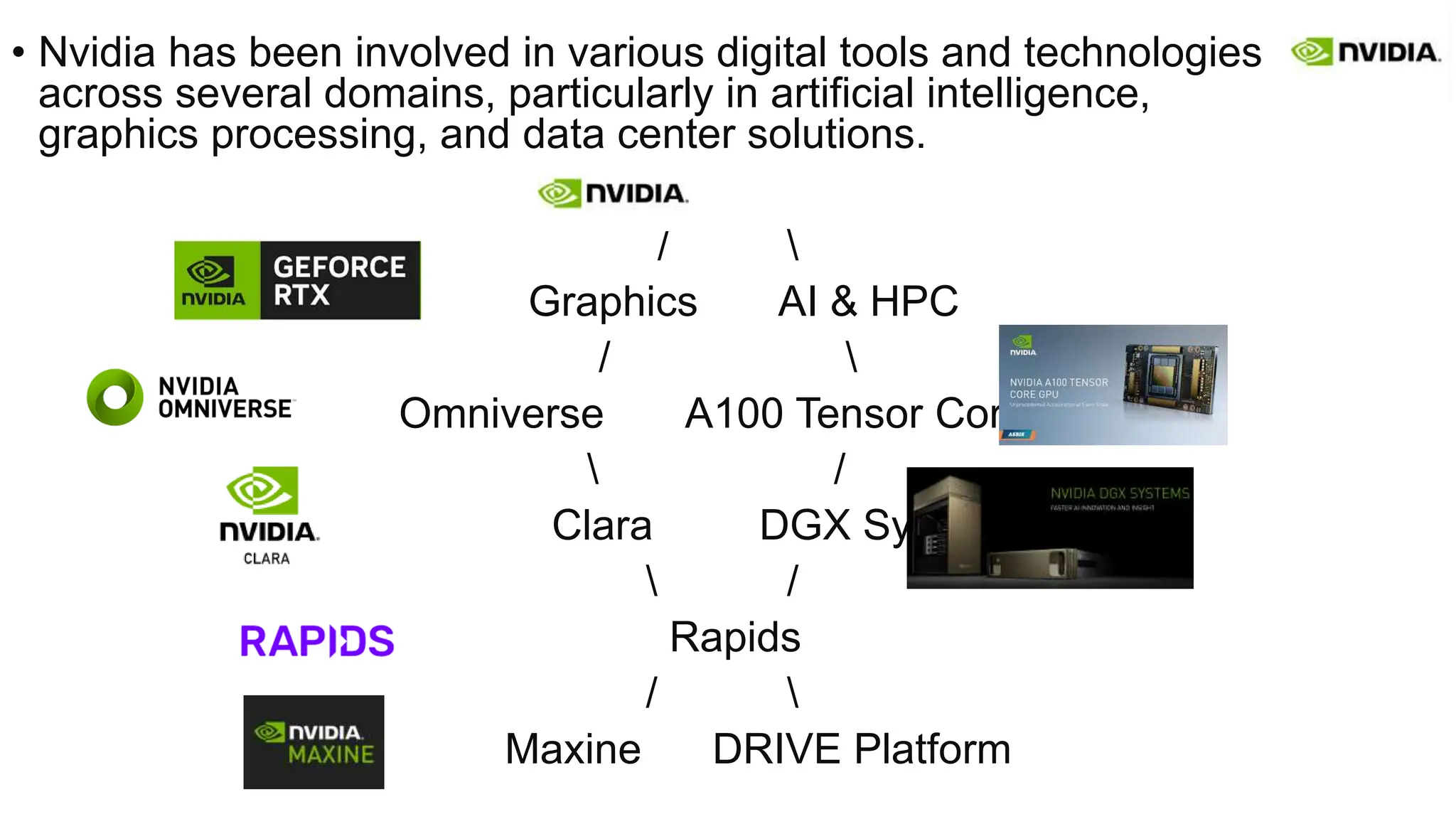 NVIDIA's overall business overview Presentation.pptx