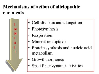 Allellopathic Aqua extracts | PPTX