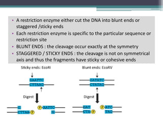 Recombinant DNA Technology | PPTX