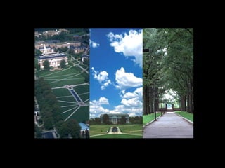 Nwafu Umd Department Organization And Operation | PPT