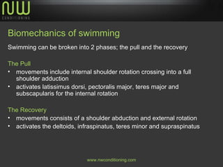 Resistance training for swimming | PPT