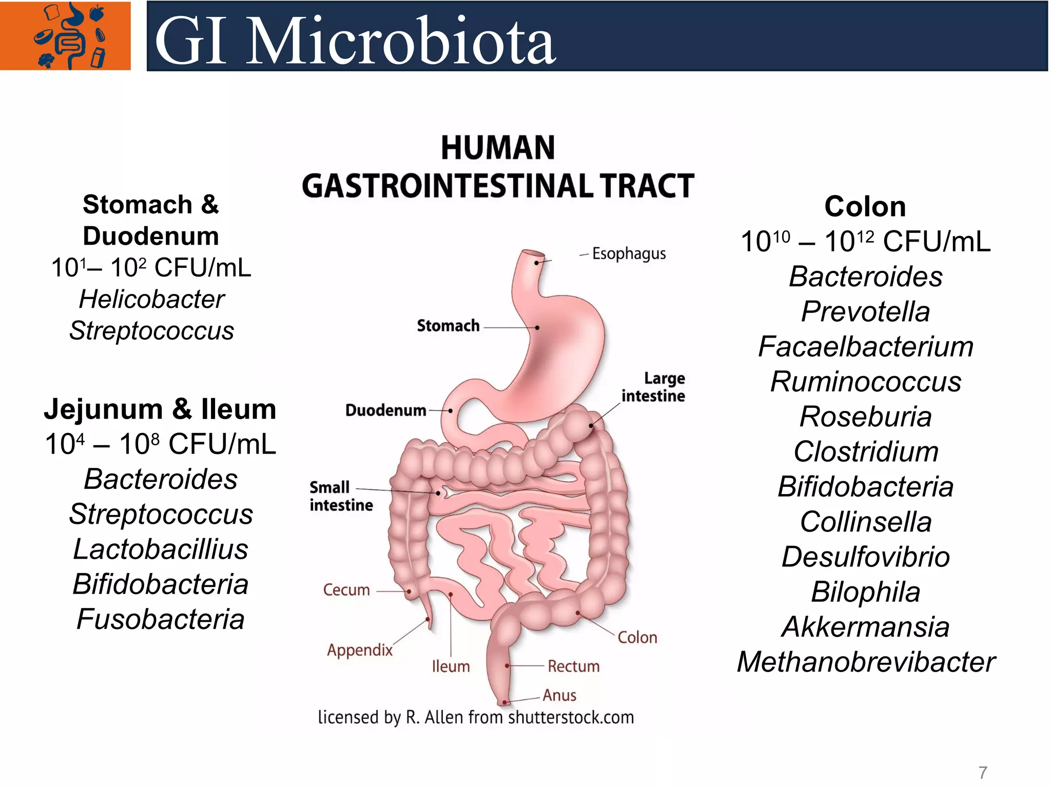 Gut-Microbiota-Brain Axis | PPT