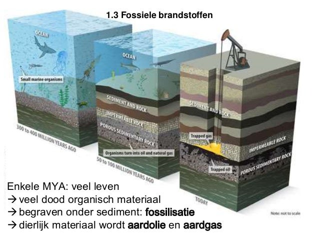 Nw i 1 materie & energie