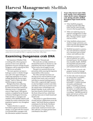 2024 Annual Report from the Treaty Tribes in Western Washington | PDF