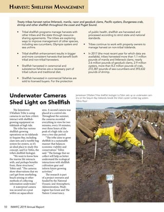 Northwest Indian Fisheries Commission Annual Report 2019 | PDF