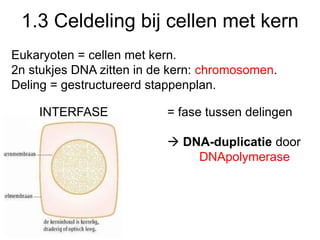 Nw iii 1 variatie in voortplanting | PPSX
