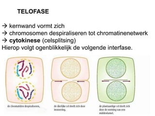 Nw iii 1 variatie in voortplanting | PPSX