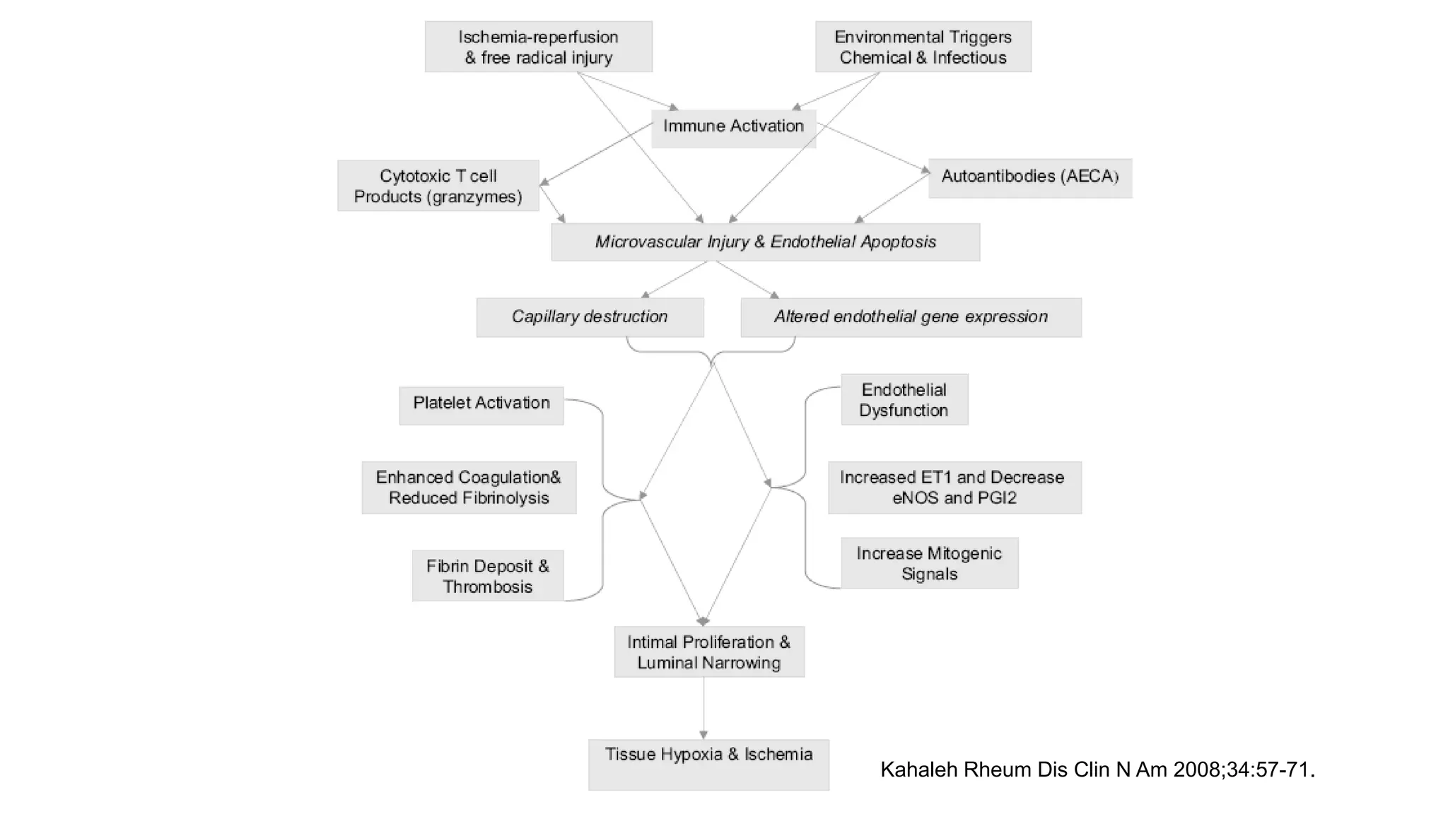 Raynaud Phenomenon and Digital Ulcers in Scleroderma | PPTX