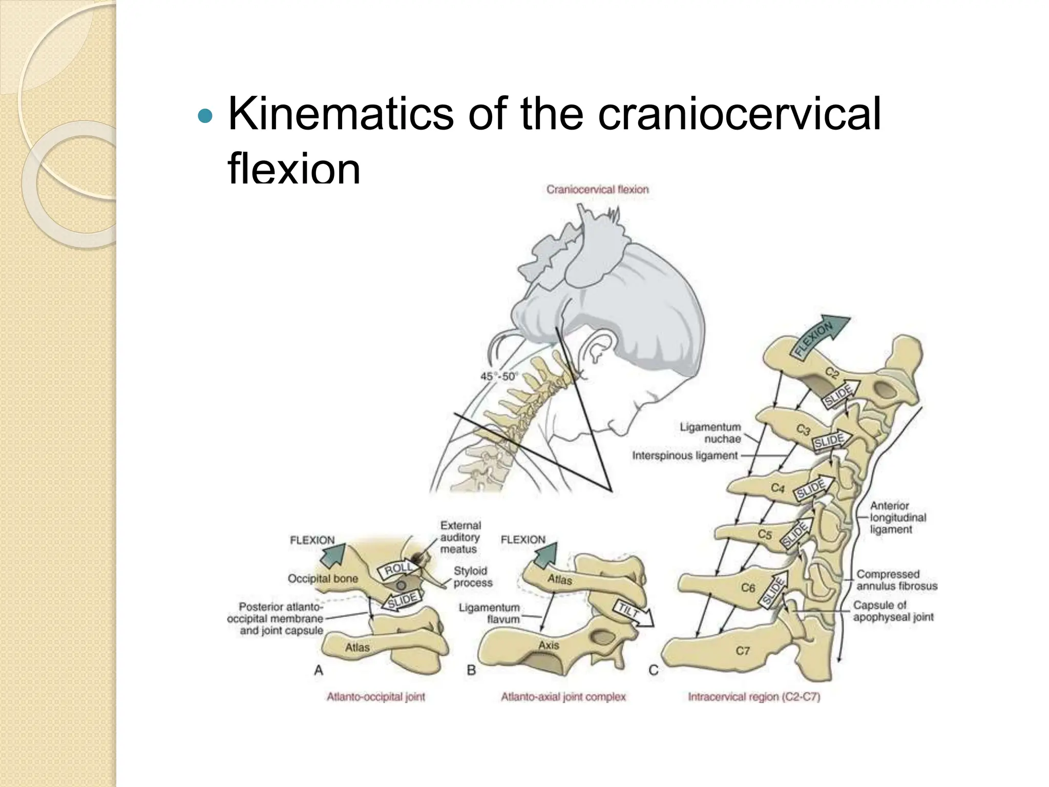 Cervical_Spine.pptx