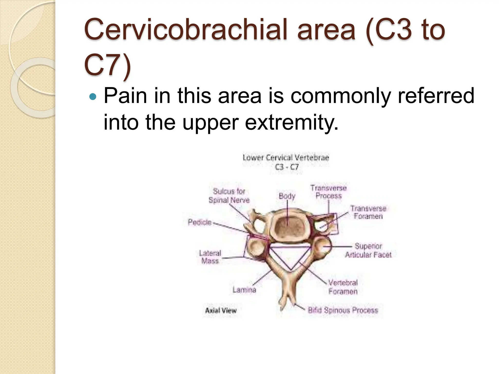 Cervical_Spine.pptx