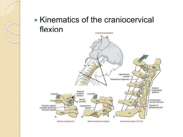 Cervical_Spine.pptx