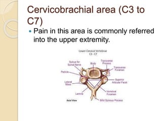 Cervical_Spine.pptx