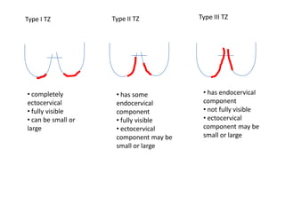 2 prof walter culture | PDF