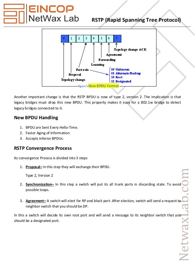 Rstp Rapid Spanning Tree Protocol