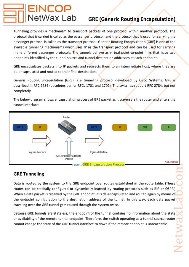 GRE (generic routing encapsulation) | PDF | Computer Networking | Computing