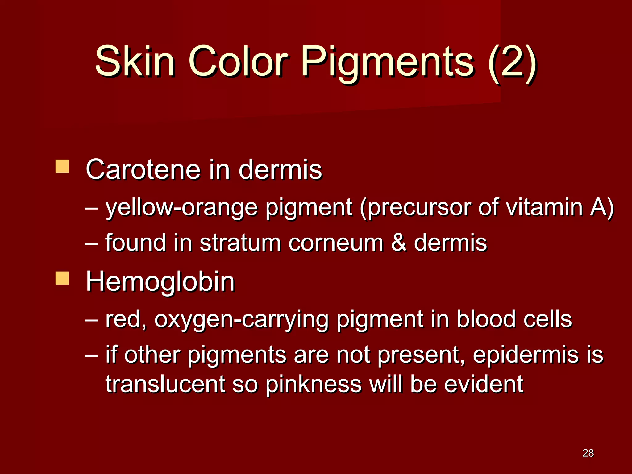 Anatomy lab. 2 integumentary sys | PPT