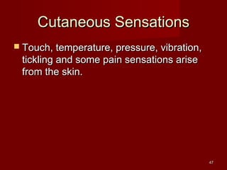 Anatomy lab. 2 integumentary sys | PPT